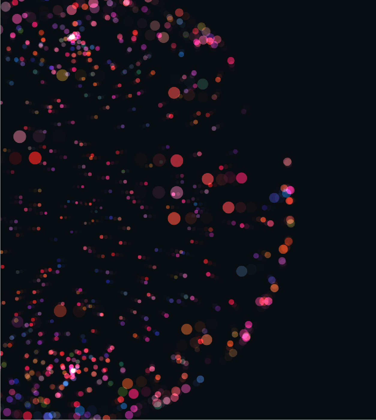 HackerRank's 2019 Women in Tech Report is Now Live - HackerRank Blog