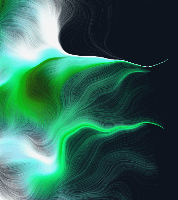 Introducing HackerRank's 2019 Developer Skills Report - HackerRank Blog